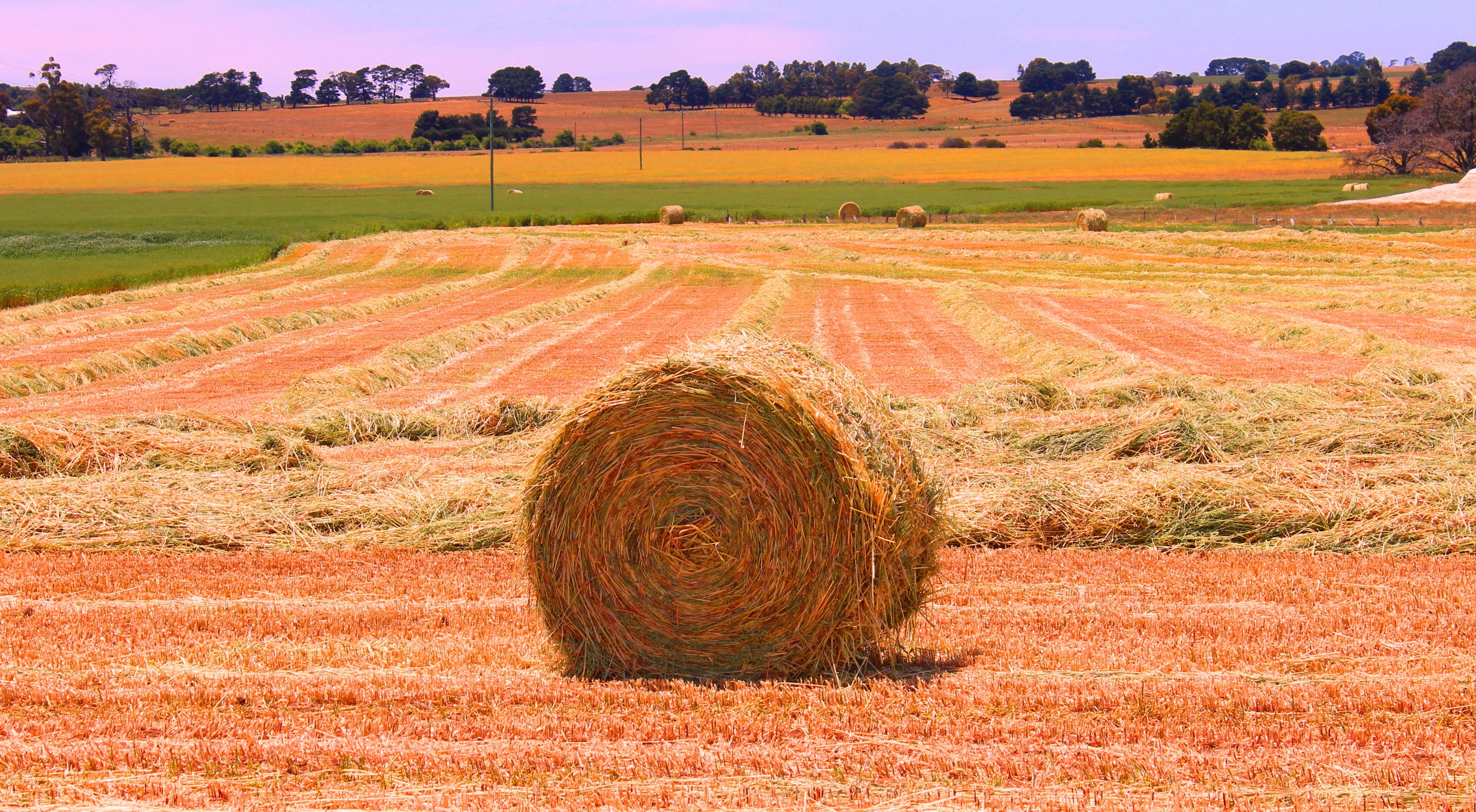 RURAL HEPBURN 2043 Agricultural land & rural settlement strategy